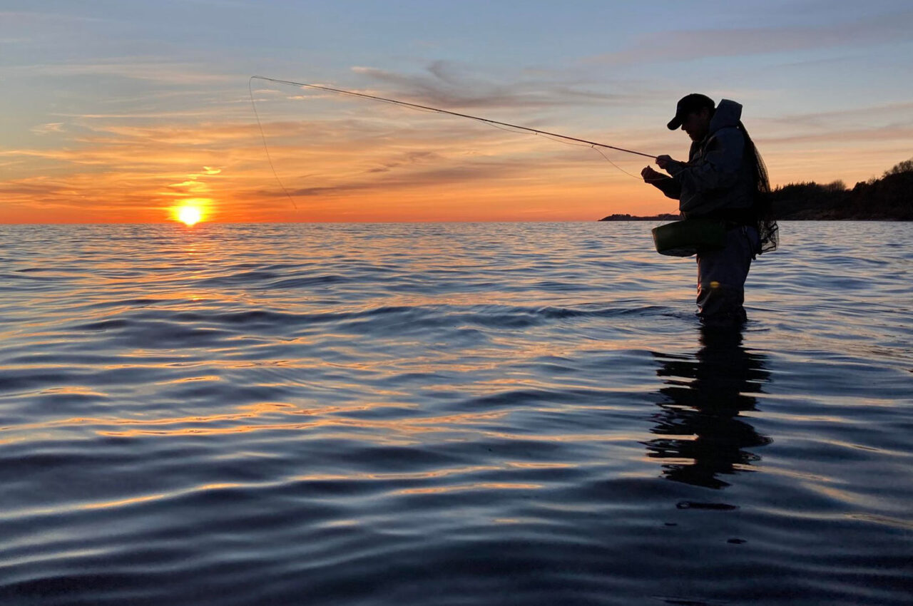 HAVØRRED PÅ BORNHOLM: Boderne bød sig til - Fisk & Fri