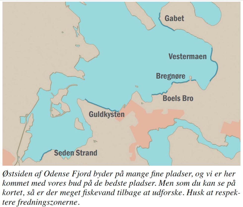 HAVØRREDPLADSER PÅ ØSTSIDEN AF ODENSE FJORD - Fisk & Fri