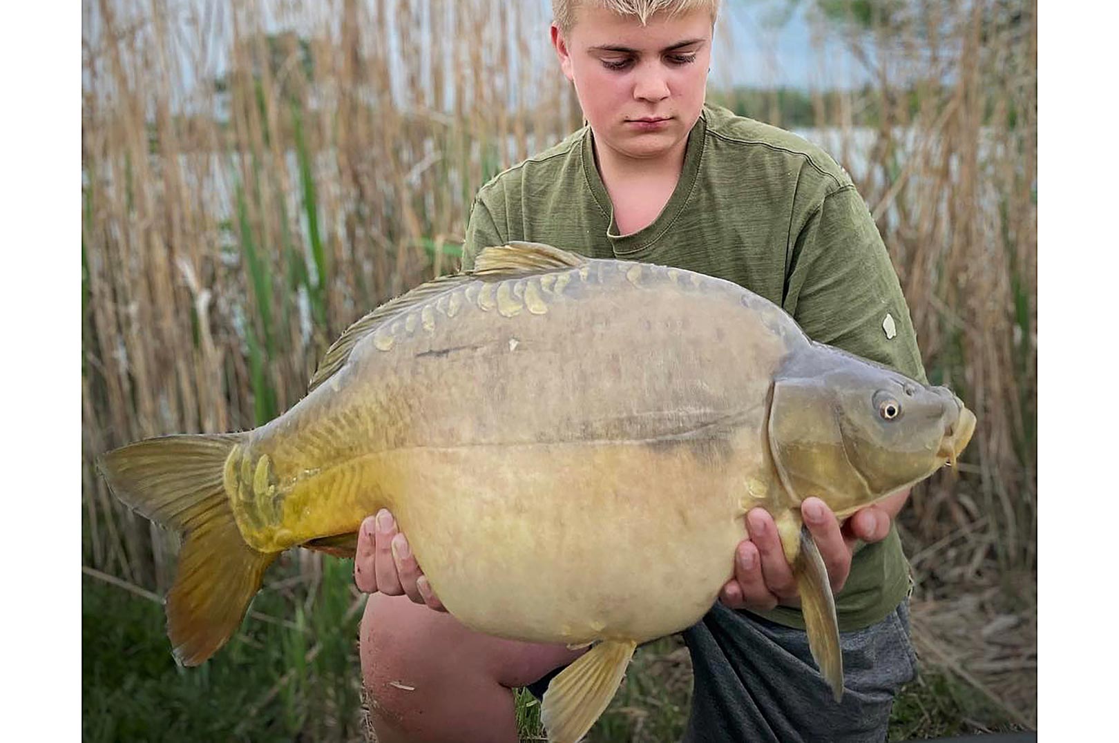 NYT FRA DANSKE KARPE- OG SPECIMENFISKERE - Fisk & Fri