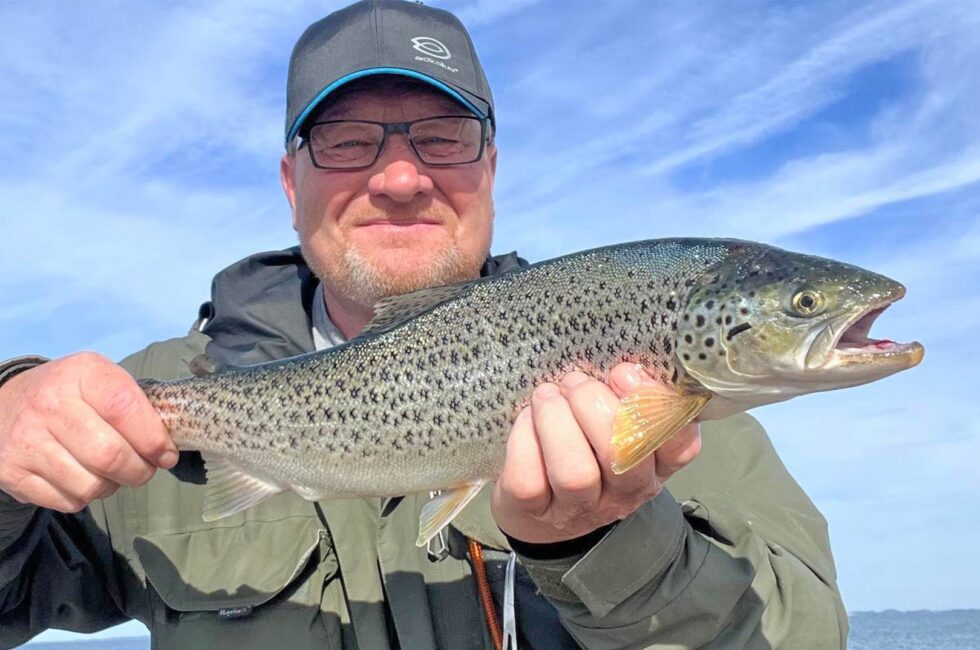 "DEN STIVE" HALER HAVØRRED I LAND - Fisk & Fri