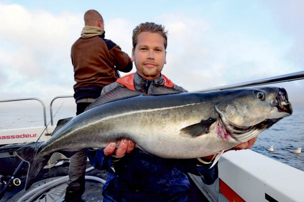 SUPERSEJ I SKAGERRAK - Fisk & Fri