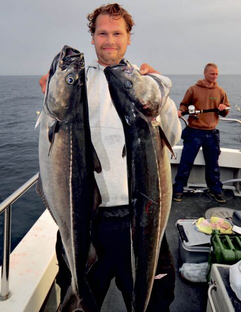 SUPERSEJ I SKAGERRAK - Fisk & Fri