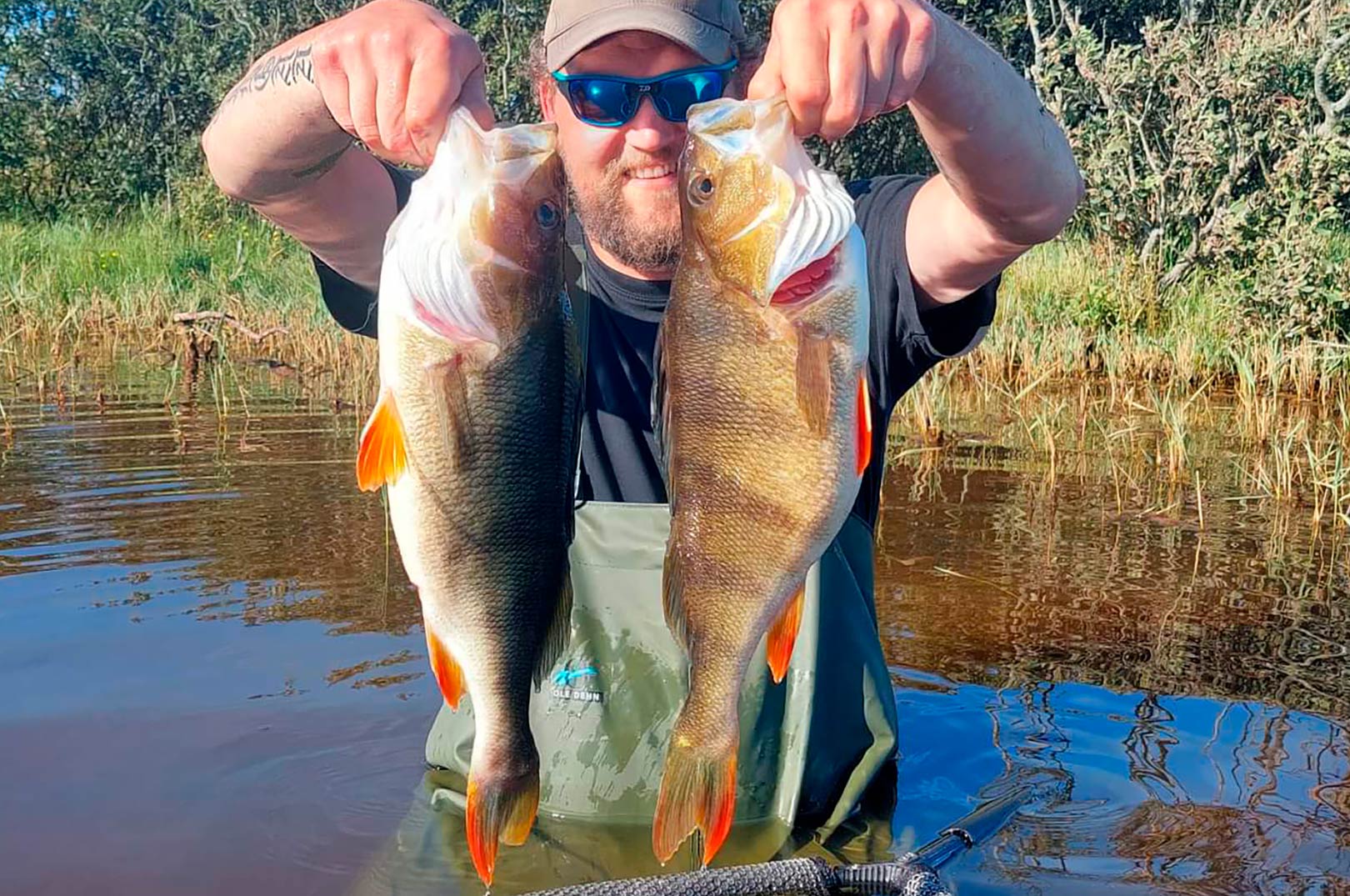 SOL, VINDSTILLE OG ABORRER - Fisk & Fri