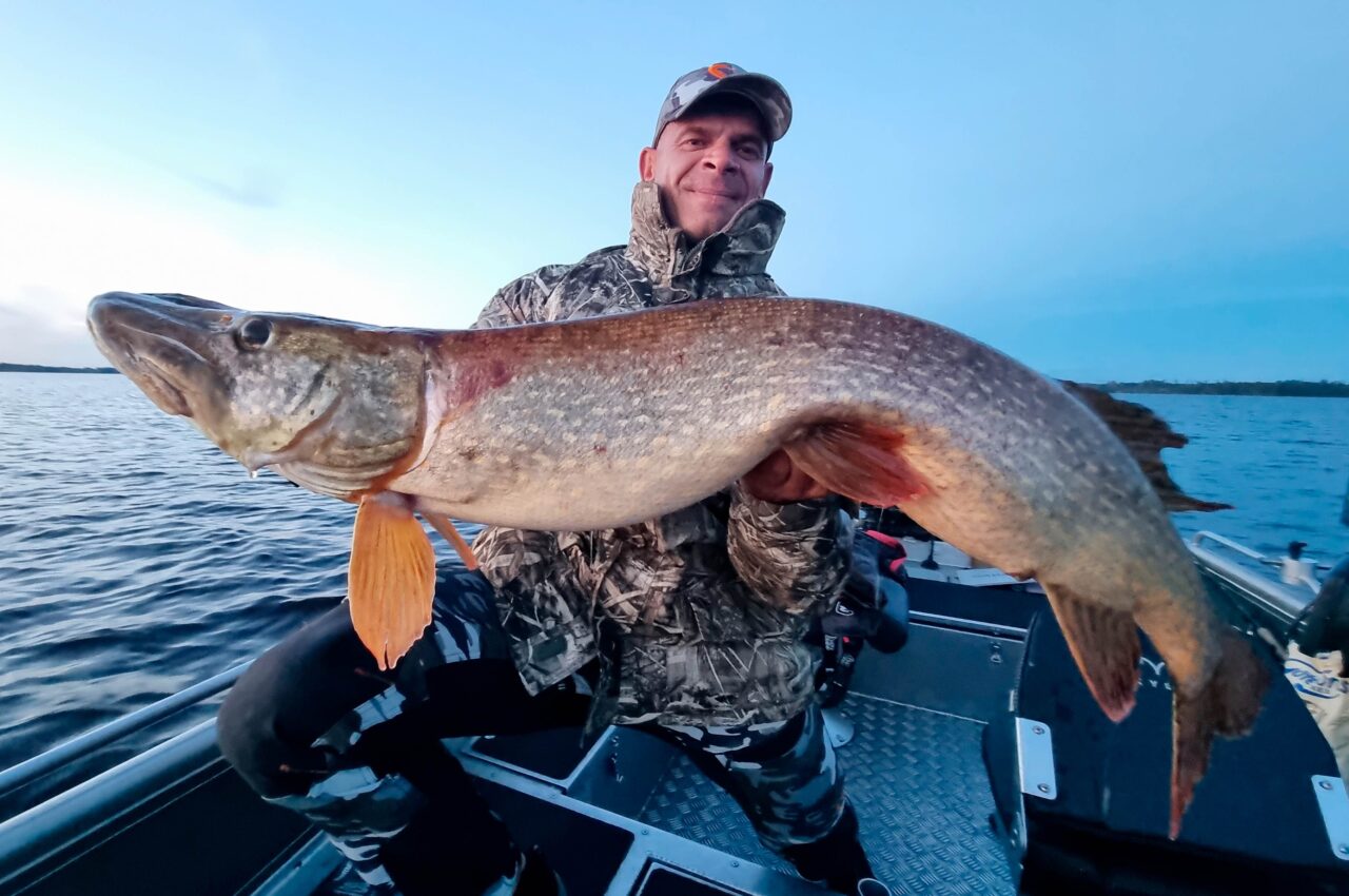 PÅ GEDDEEVENTYR I SVERIGE - Fisk & Fri