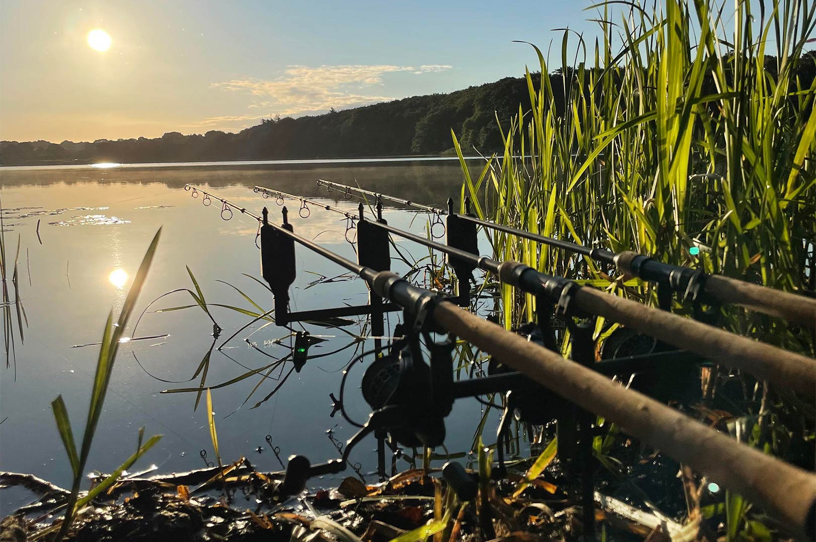 KARPE FISH-IN VED JELSSØERNE - Fisk & Fri