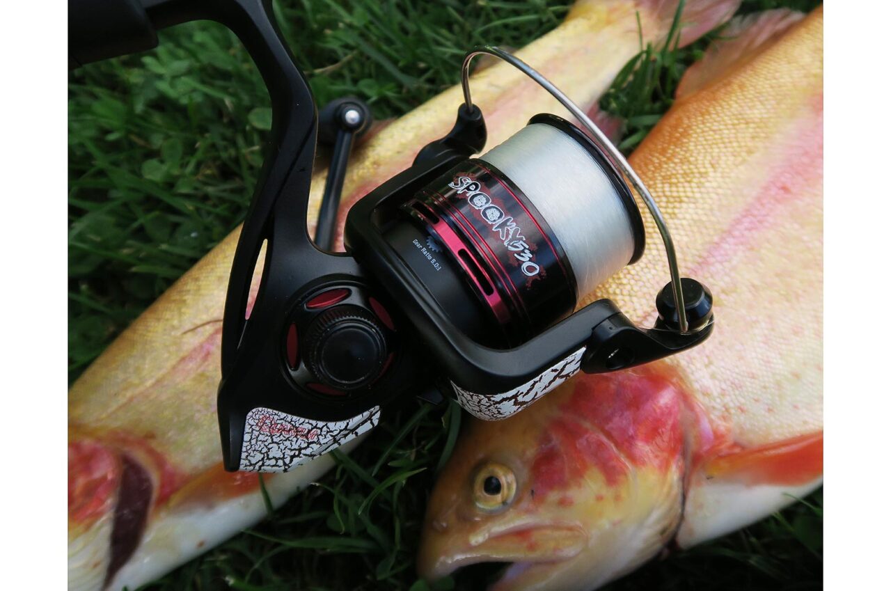 PUT AND TAKE: MED LANGE STÆNGER EFTER ØRREDERNE - Fisk & Fri