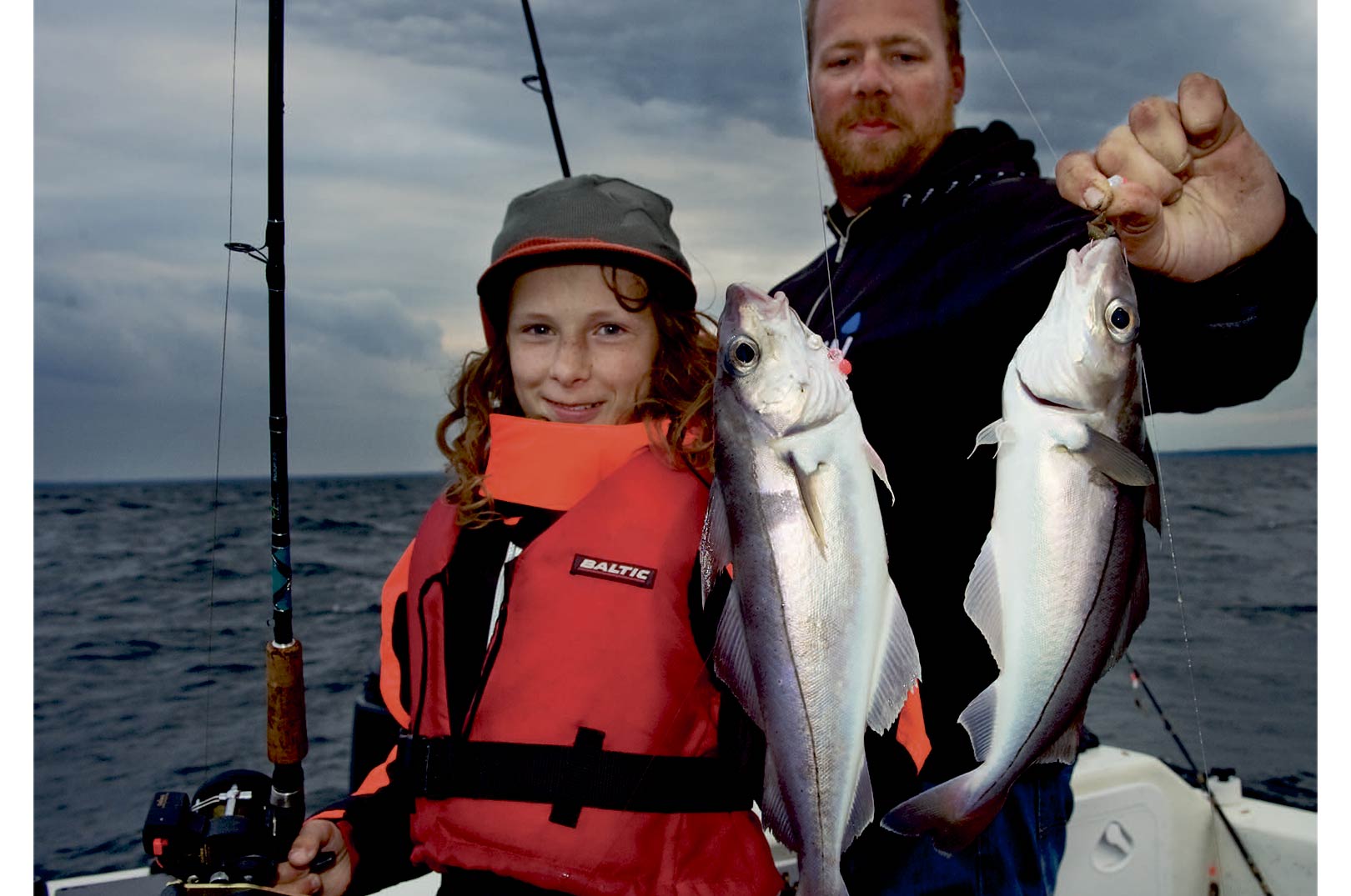 FISKEKULLER PÅ ØRESUND - Fisk & Fri