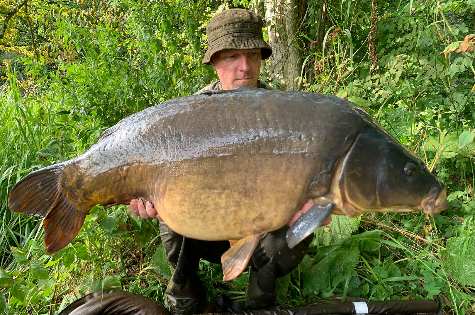 STORKARPE PÅ OVERFLADEN - Fisk & Fri