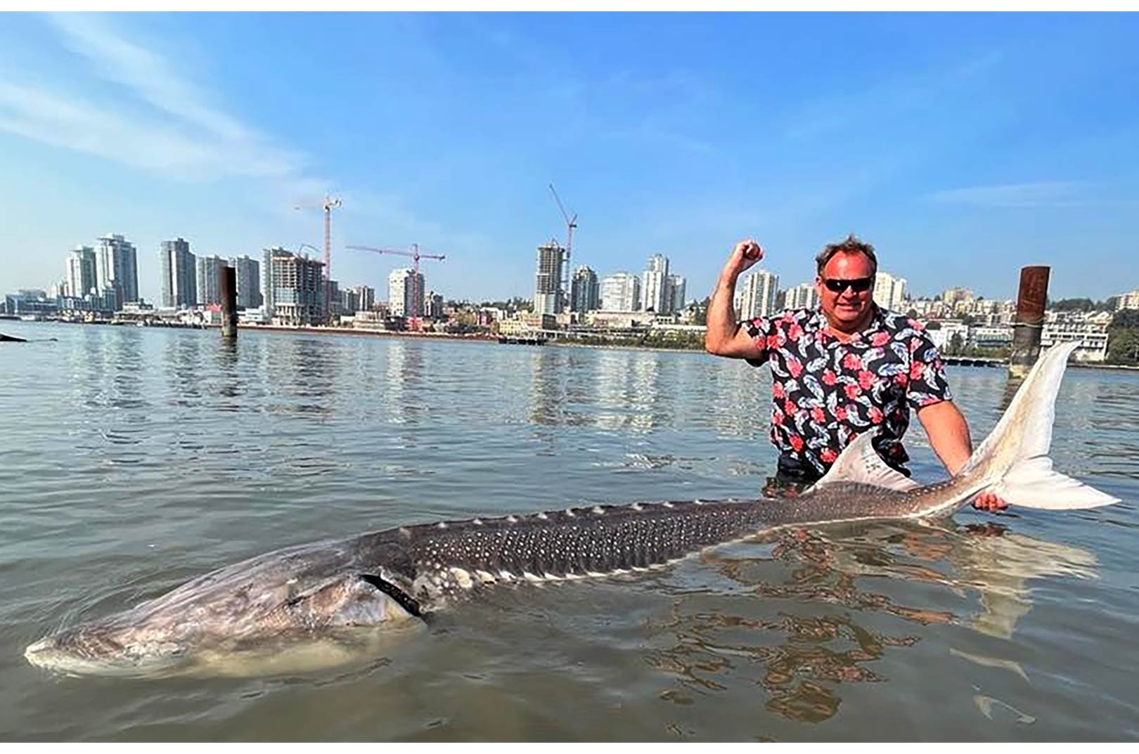 EFTER VILDE HVIDE STØR I CANADA - Fisk & Fri