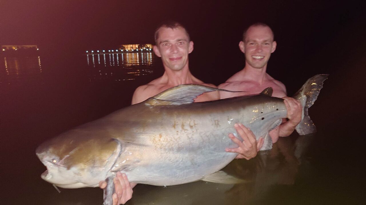 VILDE FIGHTS I THAILAND - Fisk & Fri