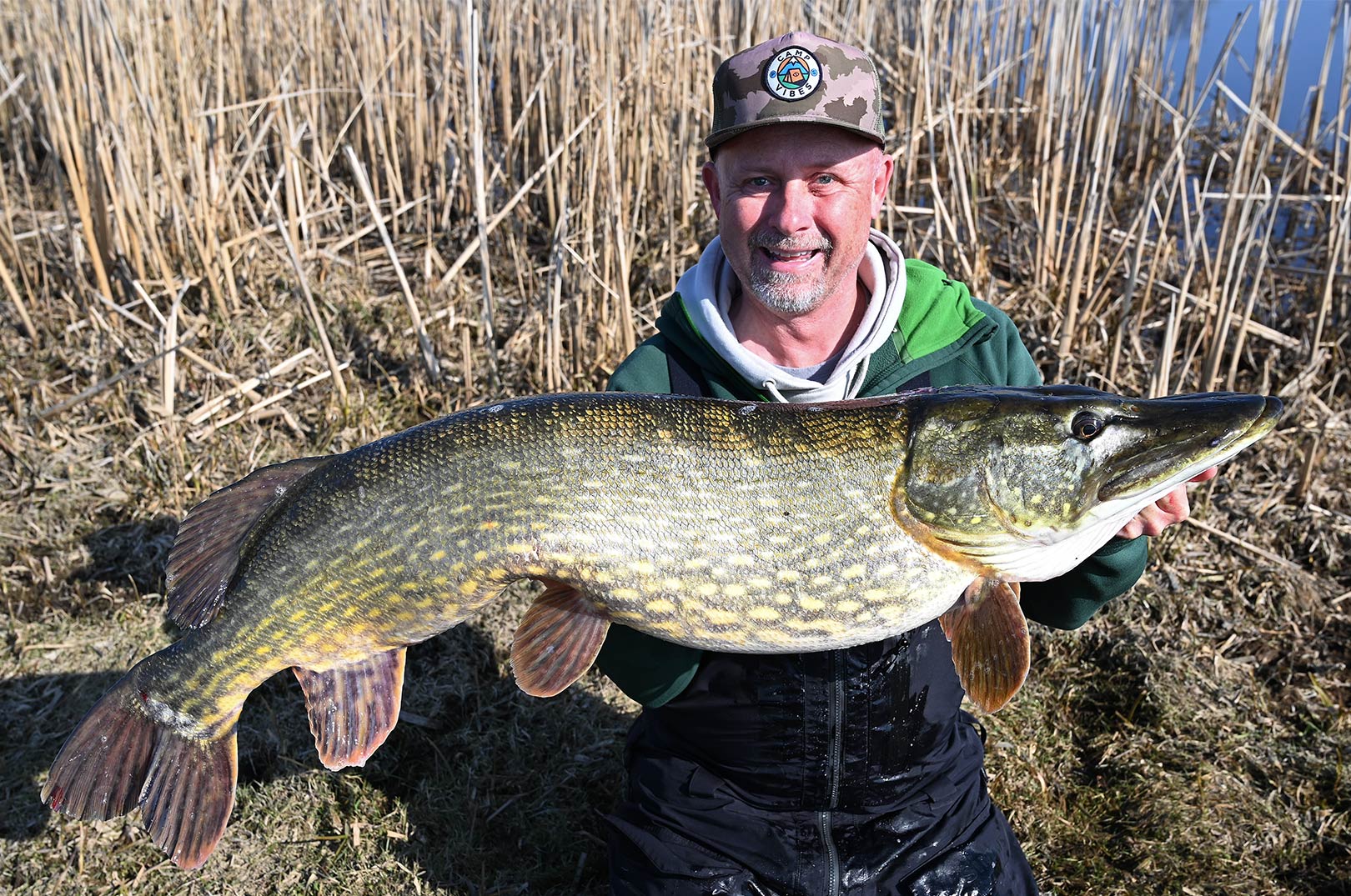 GEDDE NUMMER SYV OVER 15 KILO - Fisk & Fri