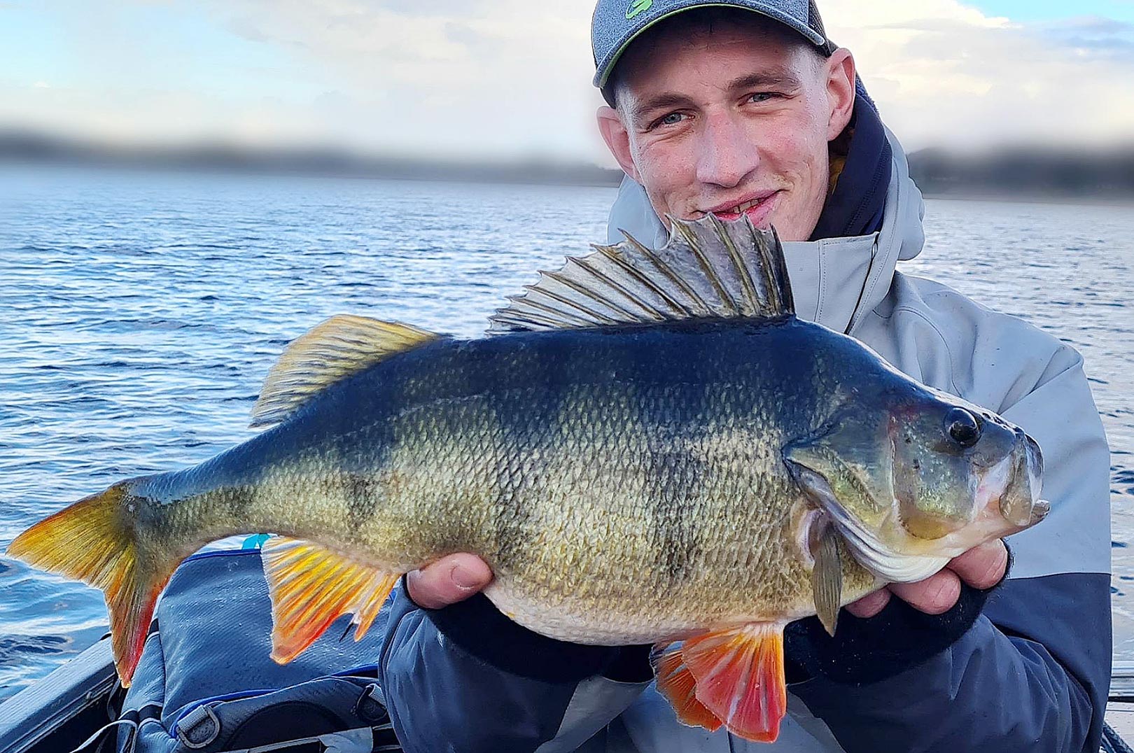 ABORRESUCCES MED NED - Fisk & Fri