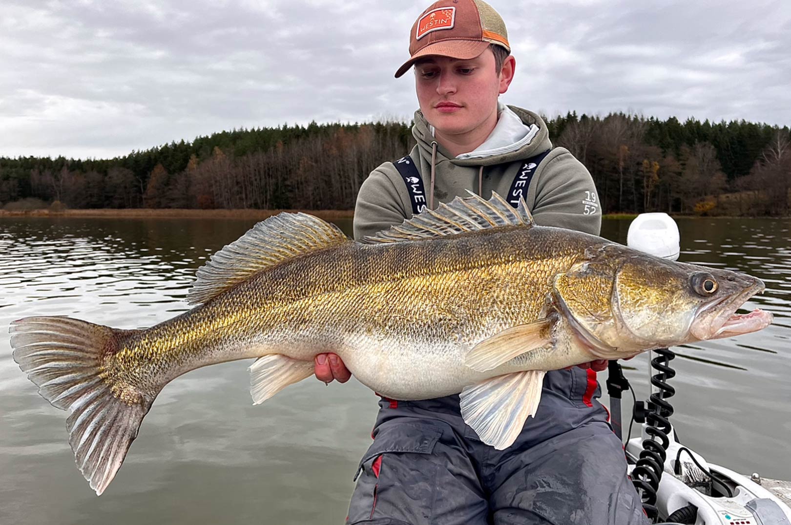 SANDART OG GEDDE-BONANZA I SVERIGE - Fisk & Fri