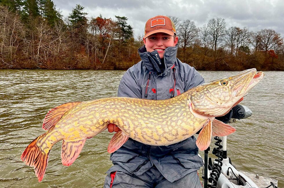 SANDART OG GEDDE-BONANZA I SVERIGE - Fisk & Fri