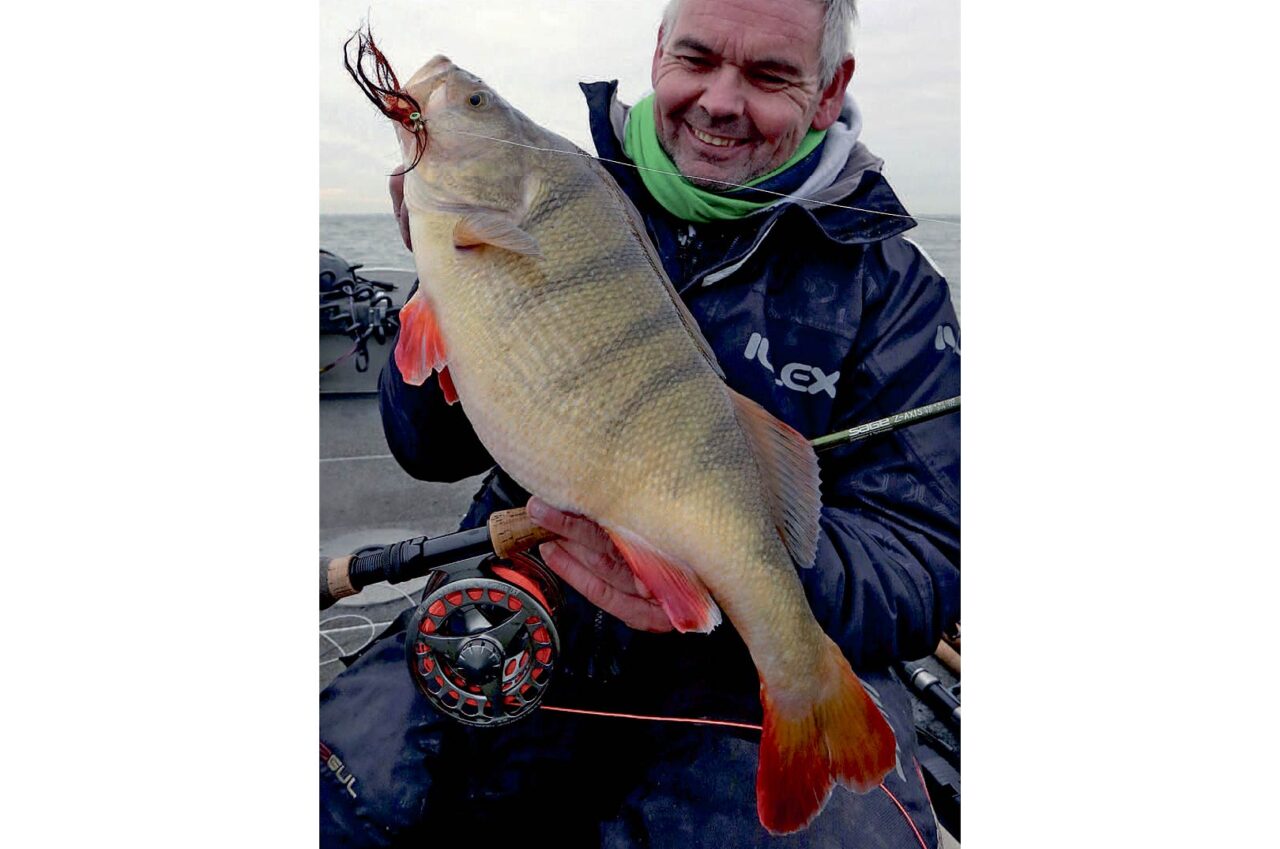 GROVE ABORRER PÅ FLUEGREJET - Fisk & Fri