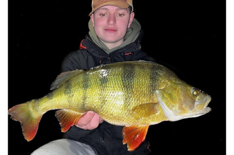 ALL IN PÅ STORE ABORRER - Fisk & Fri