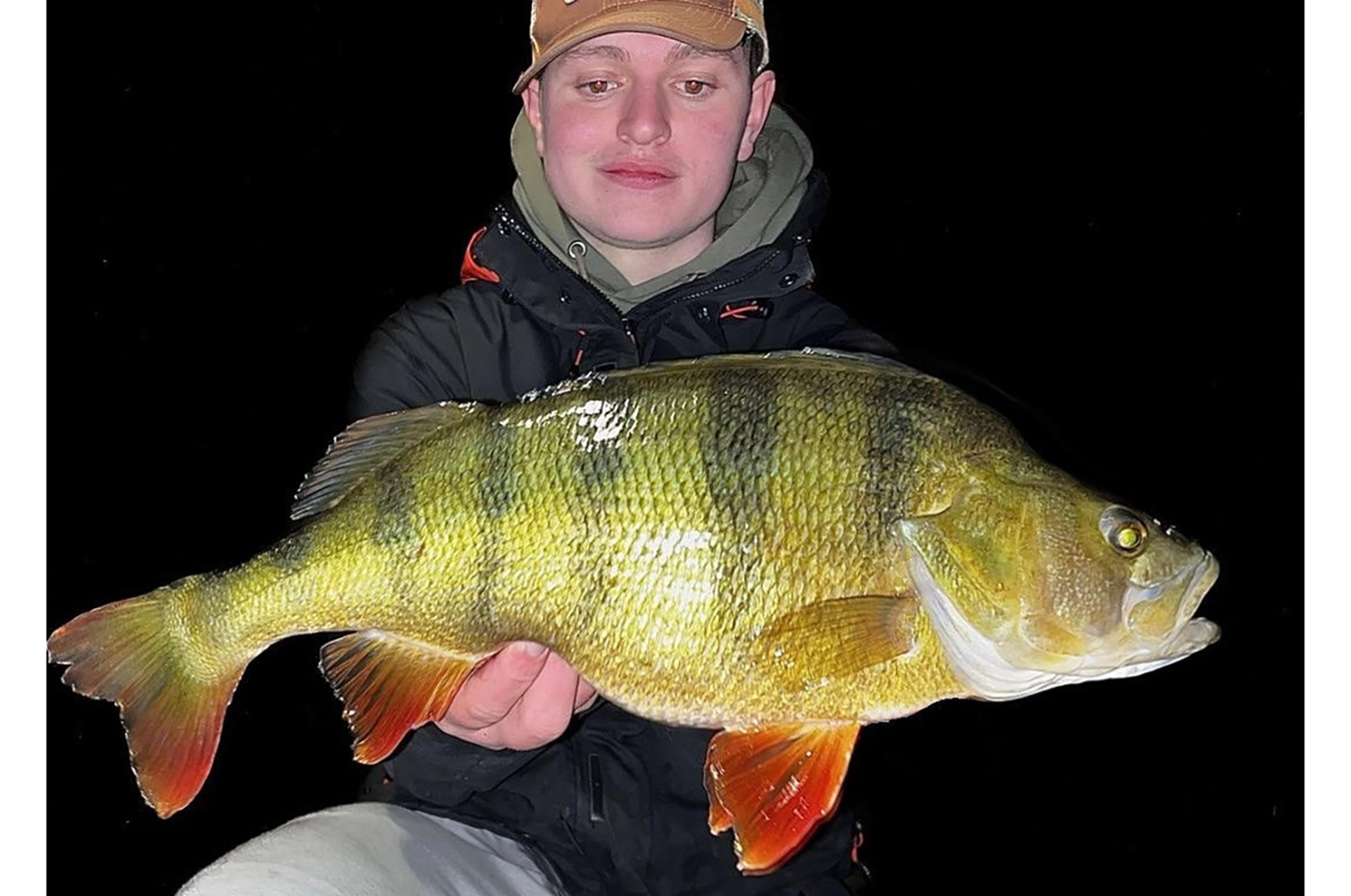 ALL IN PÅ STORE ABORRER - Fisk & Fri