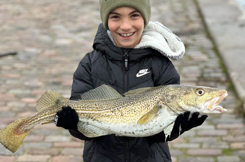 EN SMUK TORSK FRA LANGELINIE - Fisk & Fri