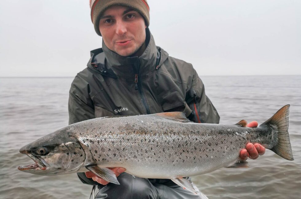 EN MASSIV HAVØRRED PÅ GENNEMLØBEREN - Fisk & Fri