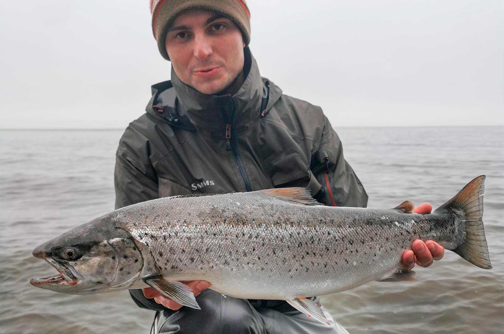 EN MASSIV HAVØRRED PÅ GENNEMLØBEREN - Fisk & Fri