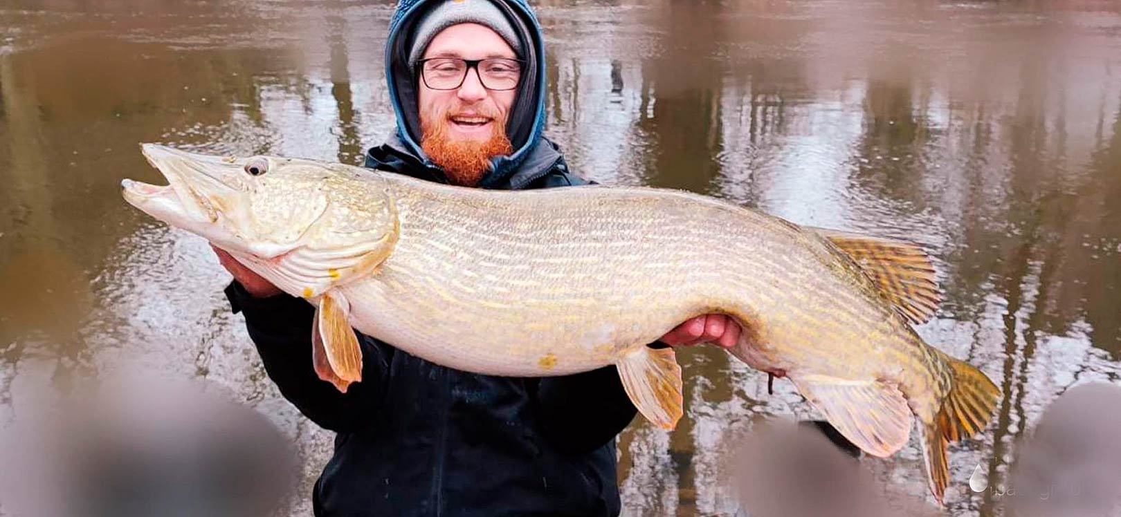 ÅRETS STØRSTE GEDDE PÅ DØD AGN - Fisk & Fri