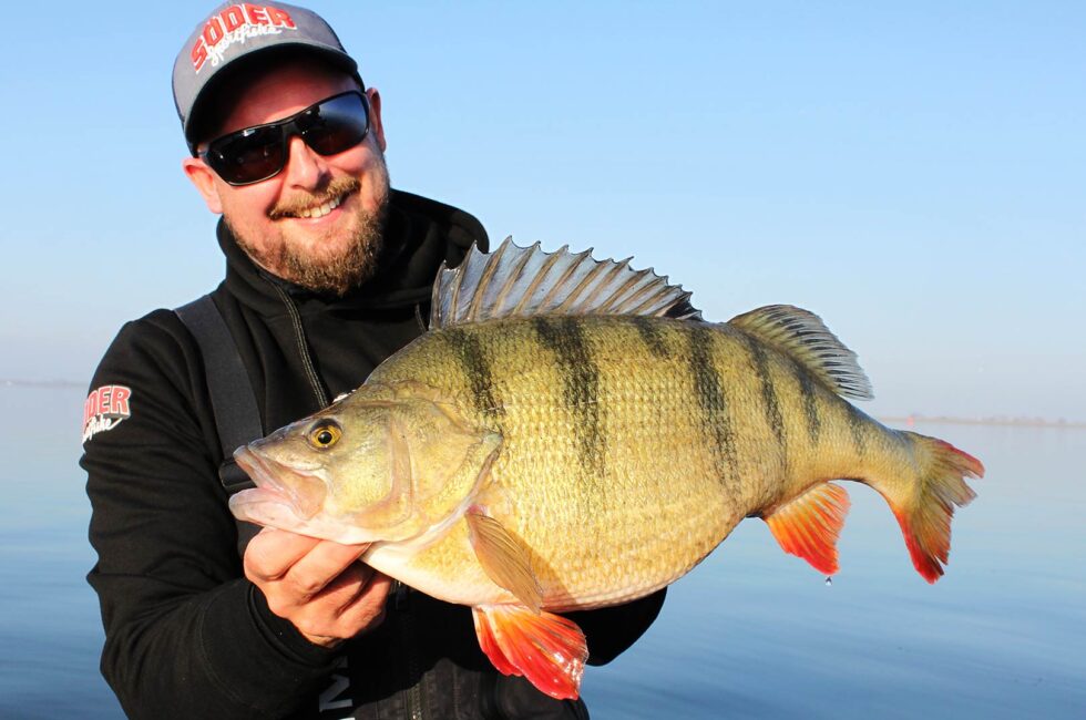 23 GIGANTABORRER MED TOPFISK OVER 3 KILO - Fisk & Fri