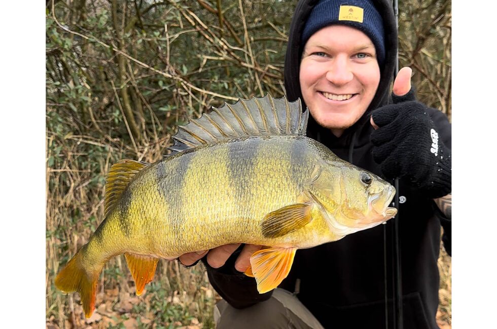 GROV ABORRE NAPPER RINGTEEZ - Fisk & Fri