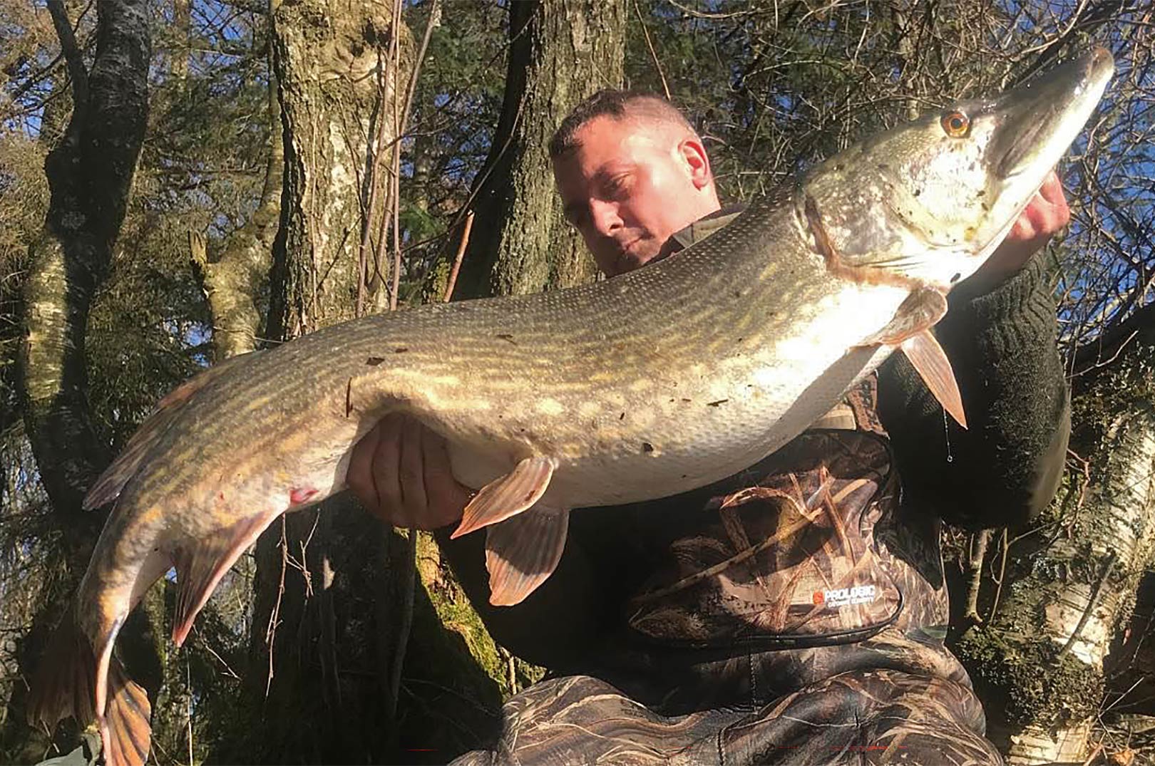 DRØMMEFISKERI PÅ DØD AGN - Fisk & Fri