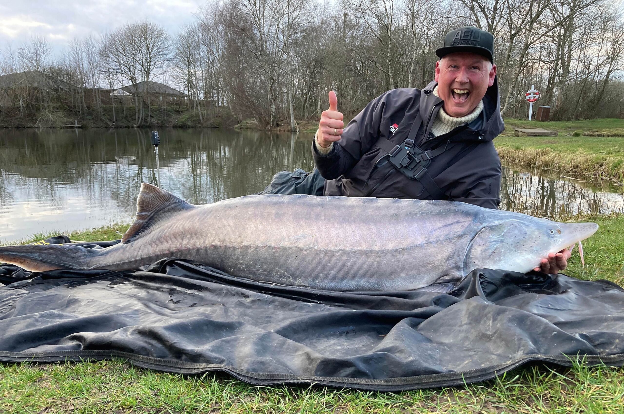 GROV BELUGA PÅ ØRREDFILET - Fisk & Fri