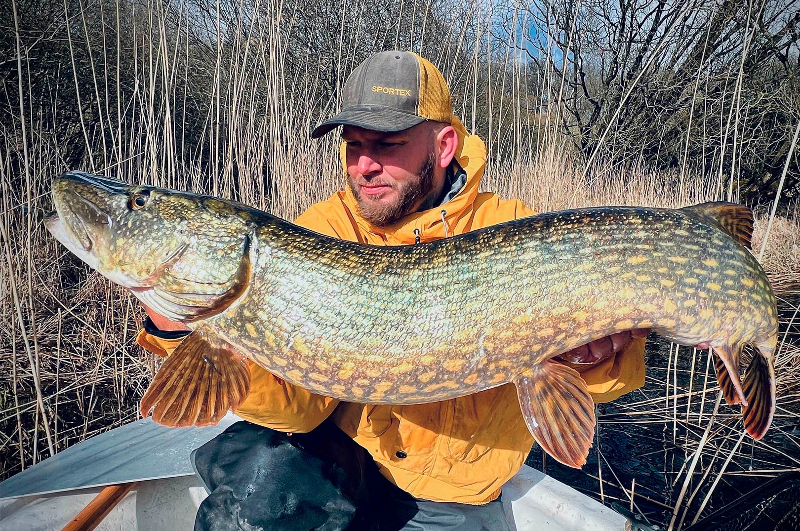 TILBAGEBLIK: EN FIN GEDDE FØR FREDNINGEN - Fisk & Fri