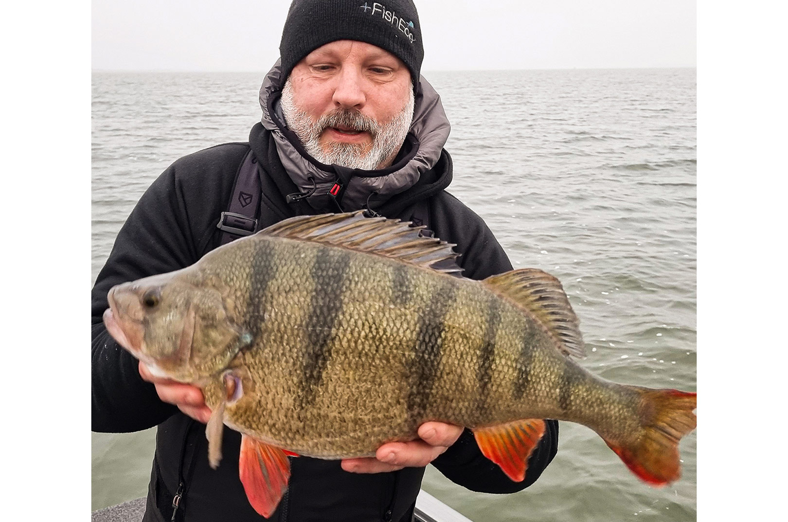 DEN STØRSTE ABORRE NOGENSINDE TAGET AF EN SVENSKER - Fisk & Fri