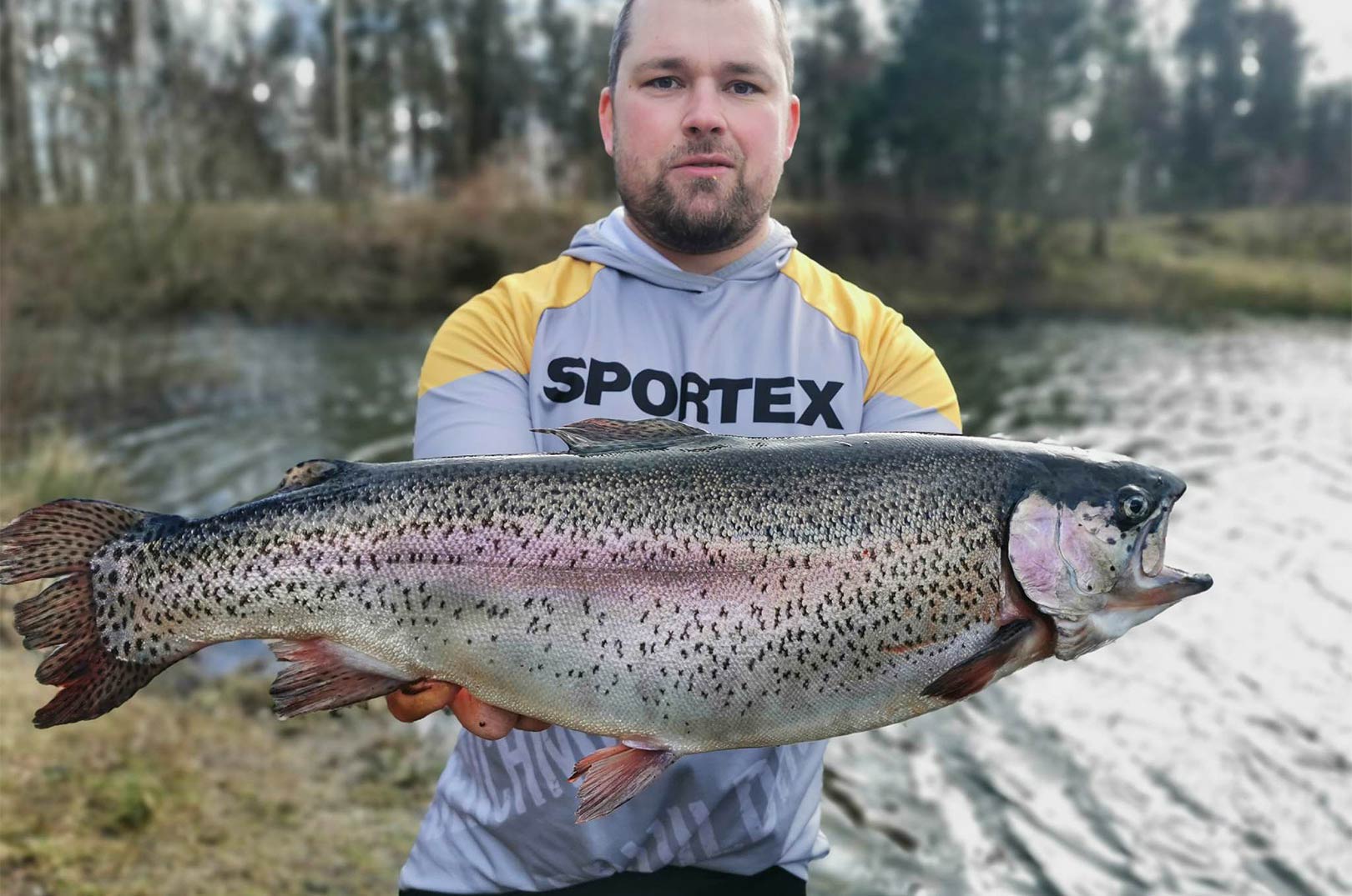 STÆRK ØRRED PÅ UL PINDEN - Fisk & Fri