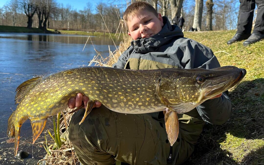 EN FLOT GEDDE FRA VOLDGRAVEN - Fisk & Fri