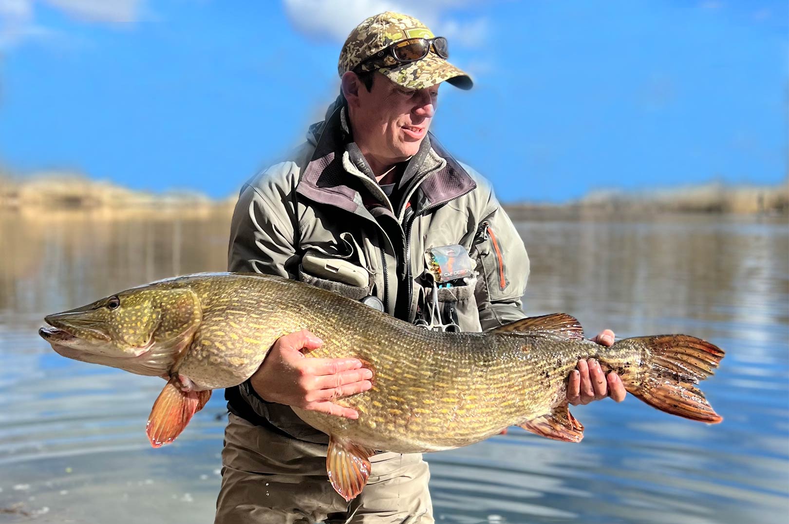 NY POTENTIEL DK FLUEREKORD PÅ GEDDE - Fisk & Fri