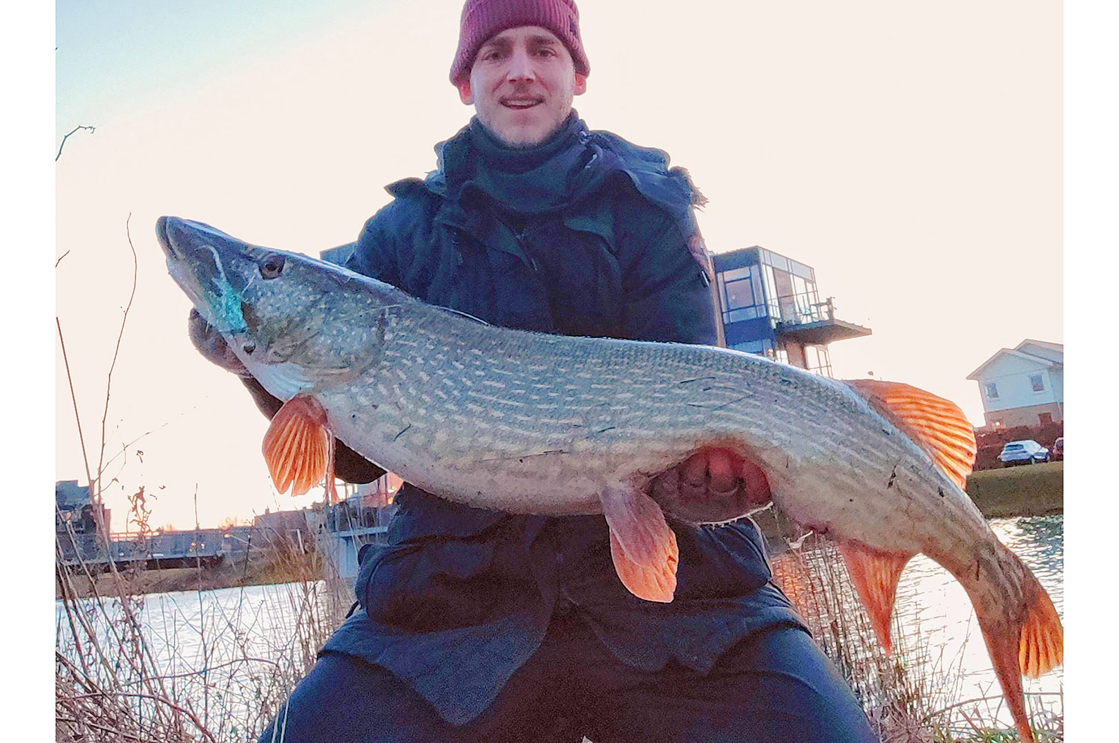 EN FLOT FLUEGEDDE LIGE INDEN LUKKETID - Fisk & Fri