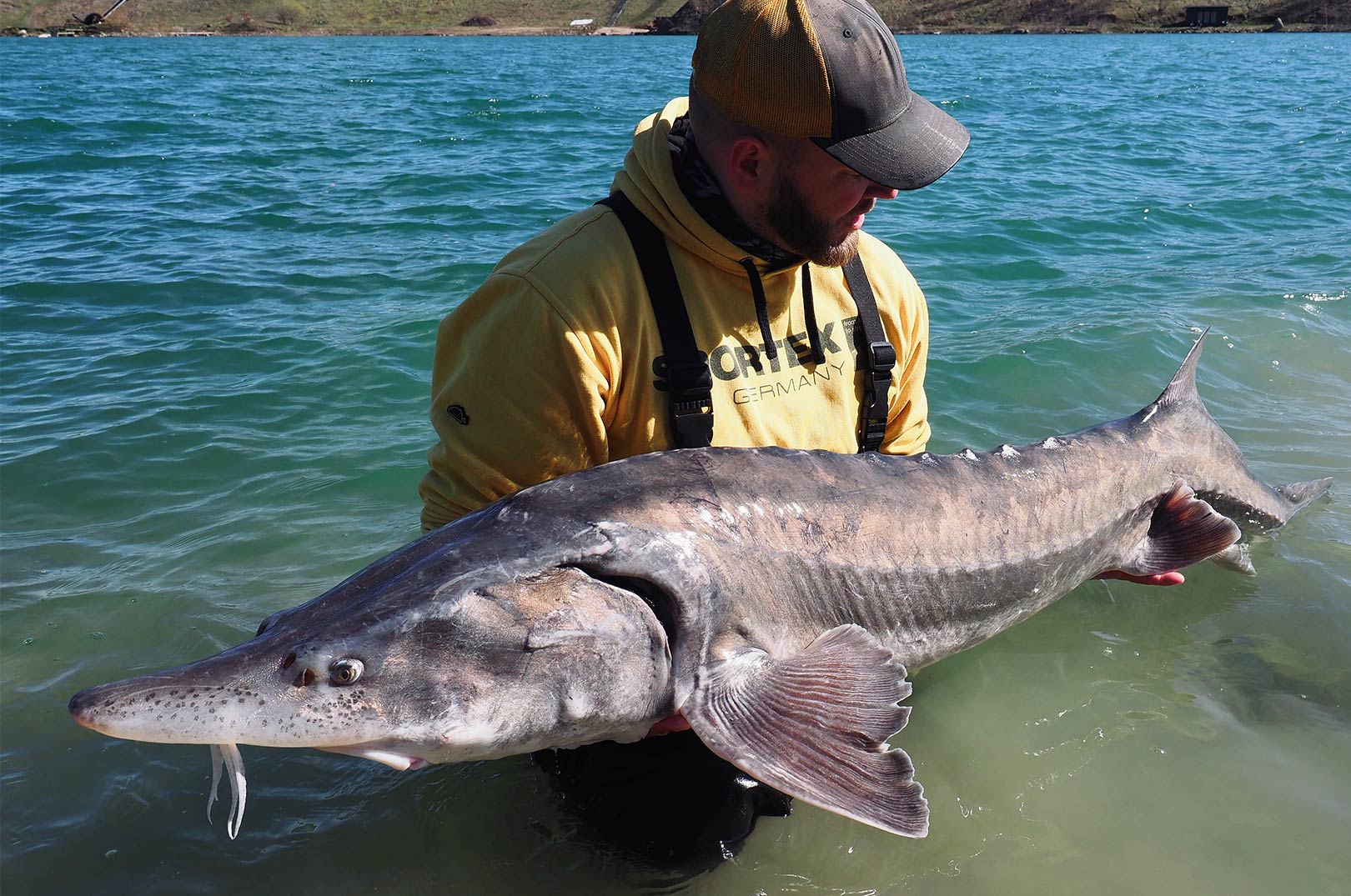 SOL OG STÆRKE STØR - Fisk & Fri