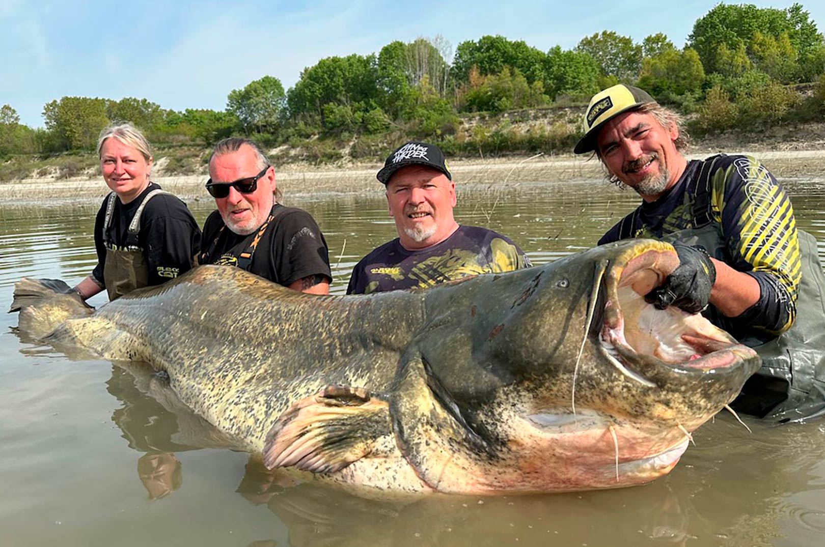 GIGANTISK MALLE LANDET I PO-FLODEN - Fisk & Fri