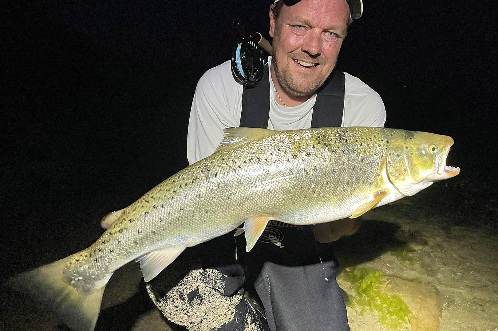 HAVØRRED: SKUMFLUE PR I MØRKET - Fisk & Fri