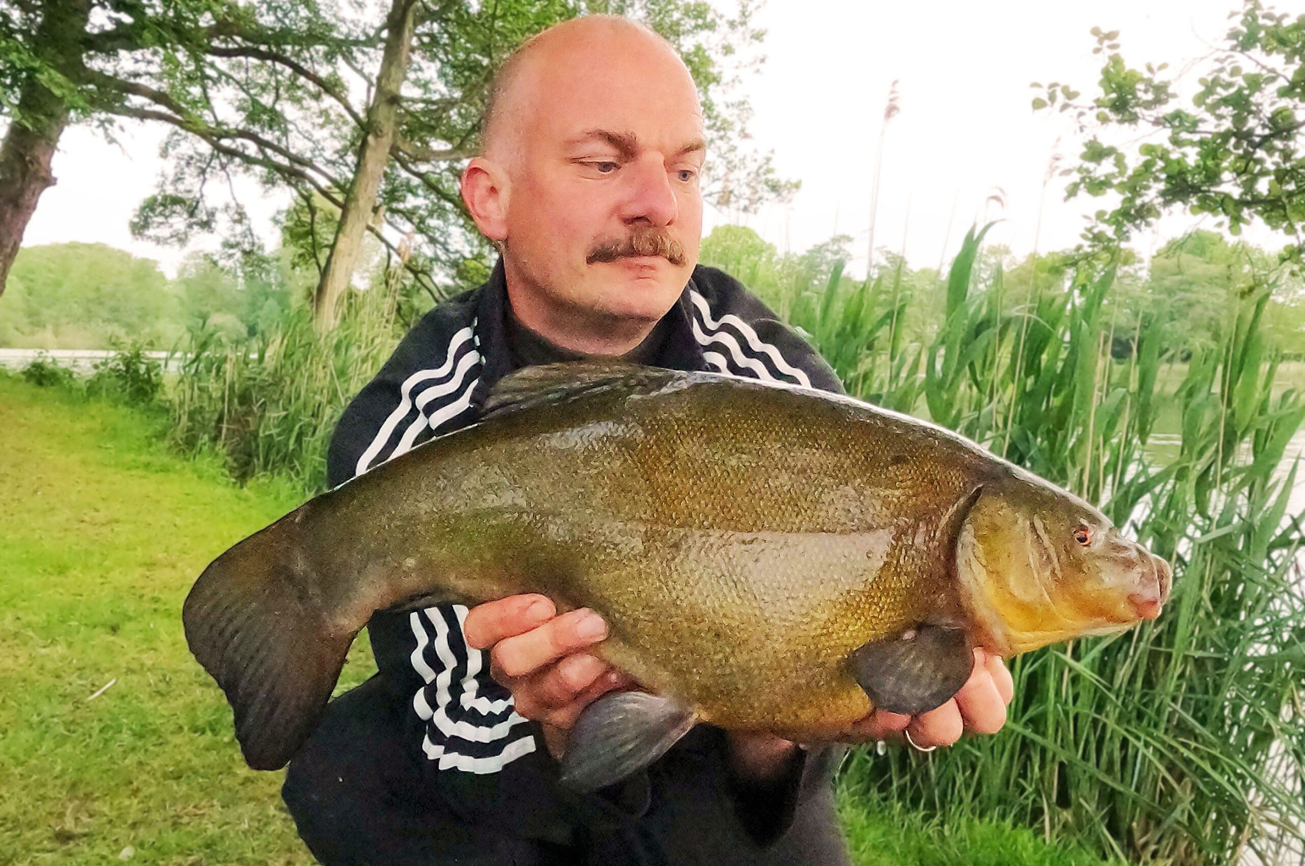 SUDER, BRASEN OG EN GRÆSKARPE - EN PERFEKT START PÅ SOMMEREN - Fisk & Fri