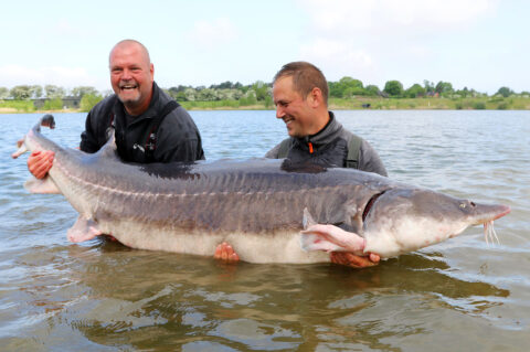 DANMARKS STØRSTE STØR - Fisk & Fri