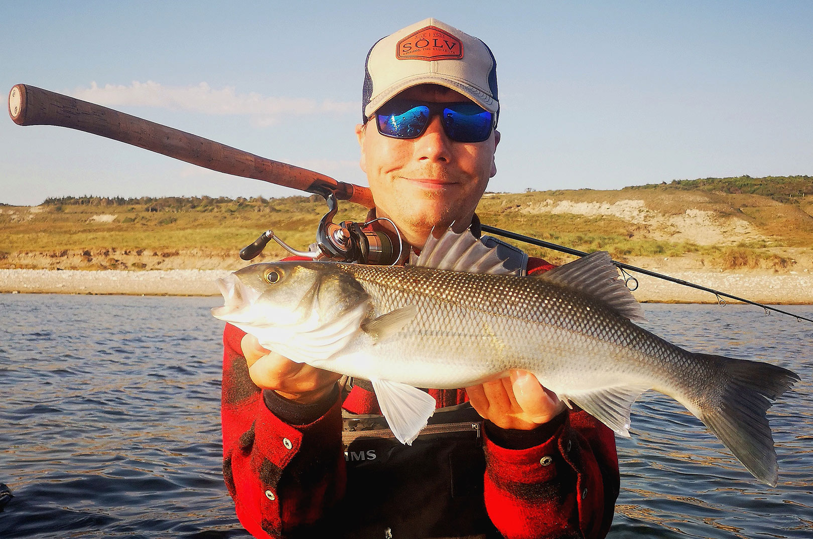 HAVBARS & HORNFISK - Fisk & Fri