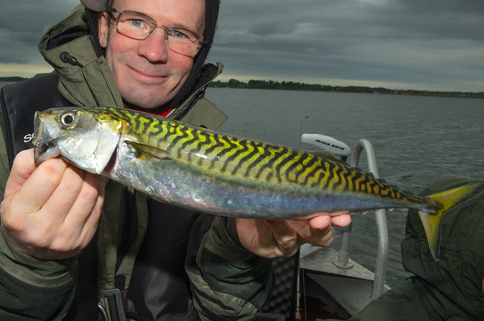 KLAR TIL MAKRELLER - Fisk & Fri