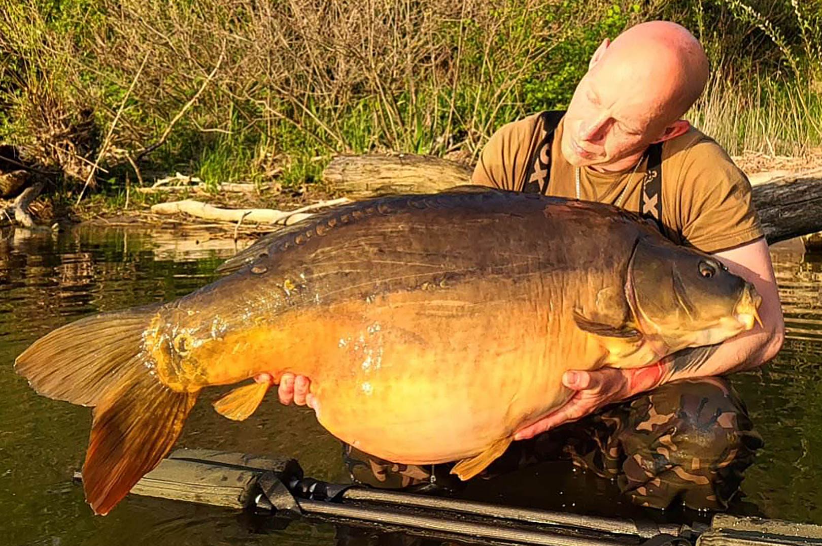 TYSKE SUPERKARPER - Fisk & Fri