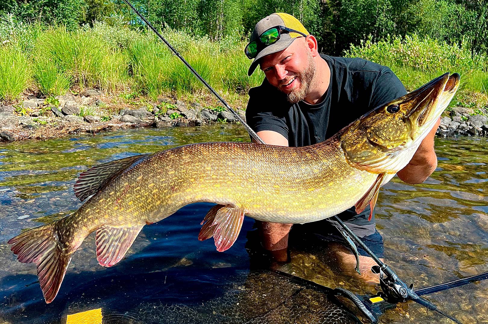 STORGEDDEN FRA LAPLAND - Fisk & Fri