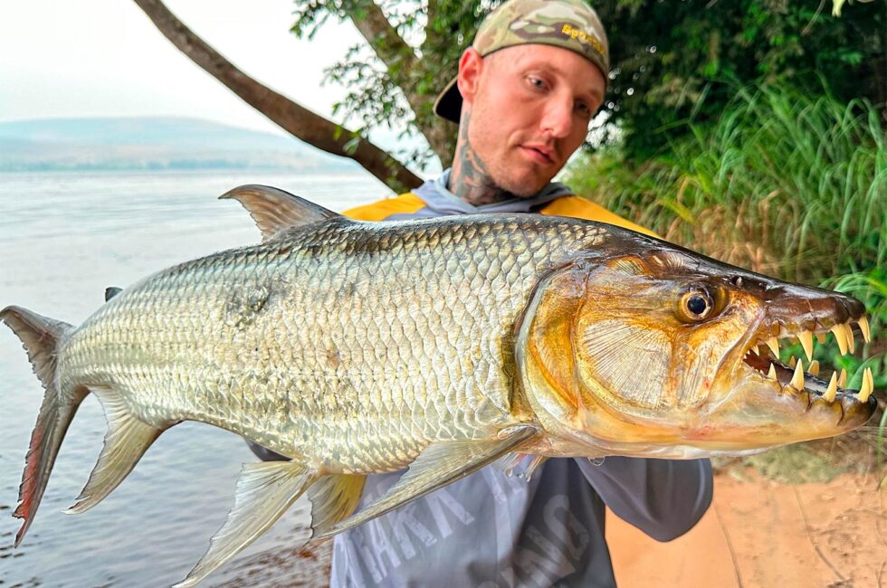 GOLIATH TIGERFISH – DEN HELLIGE GRAL - Fisk & Fri