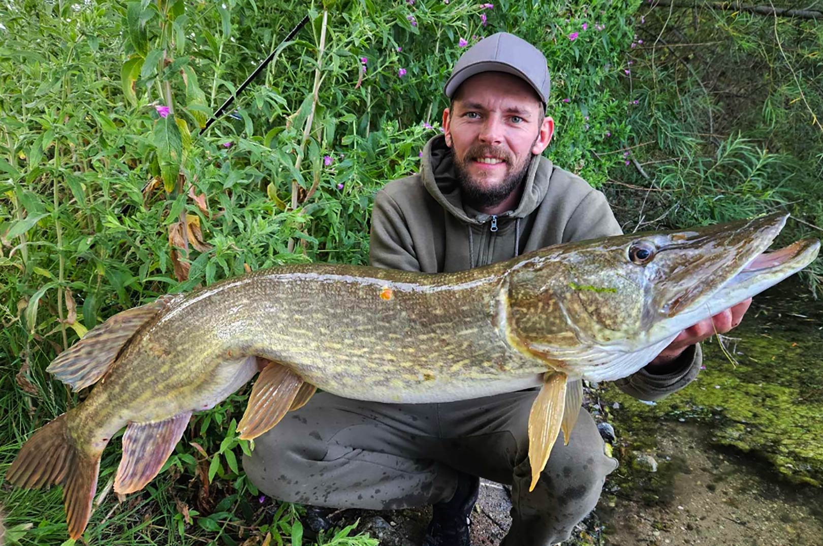 EN GROV POPPER-GEDDE - Fisk & Fri