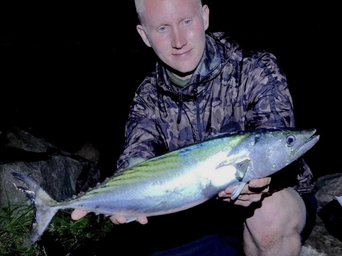 PELAMIDE FRA KØBENHAVNS HAVN - Fisk & Fri