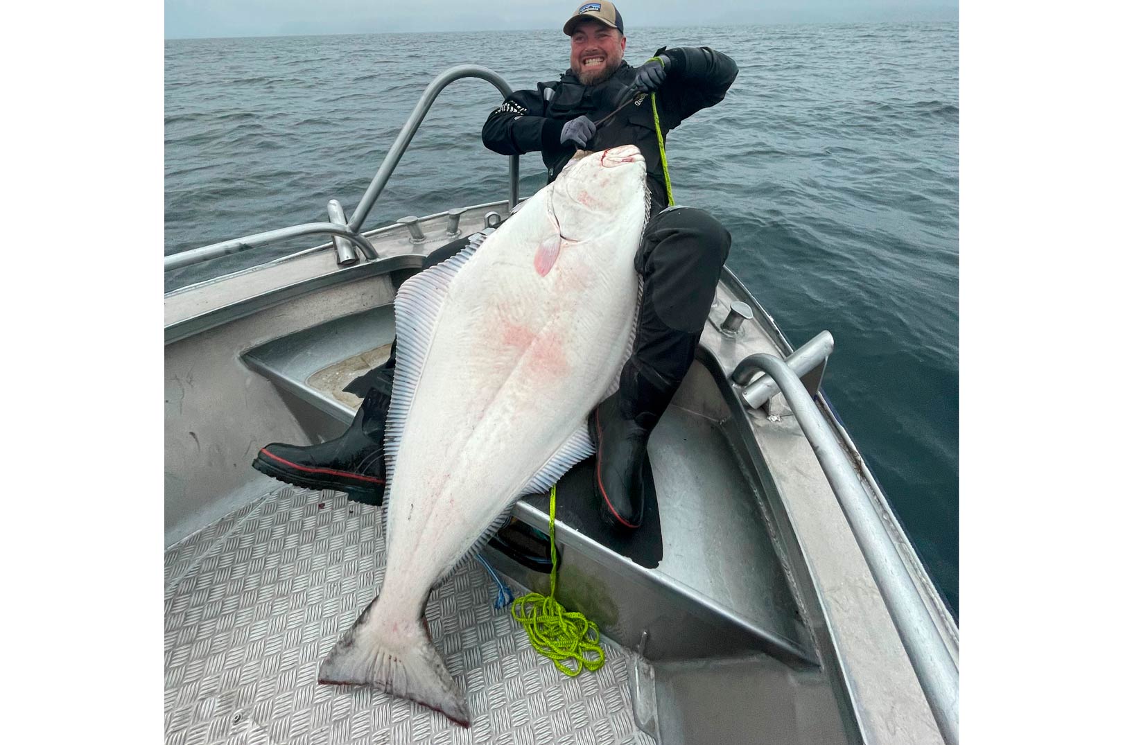 HELLEFLYNDER, TORSK OG SEJ – HSLF I NORDNORGE - Fisk & Fri