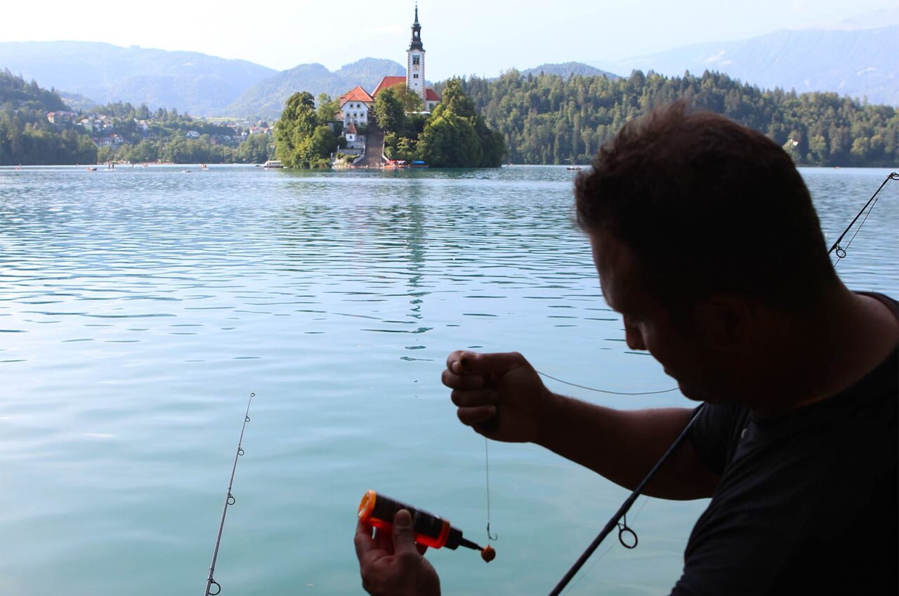 LAKE BLED: HVOR KARPEDRØMMENE BLIVER TIL VIRKELIGHED - Fisk & Fri