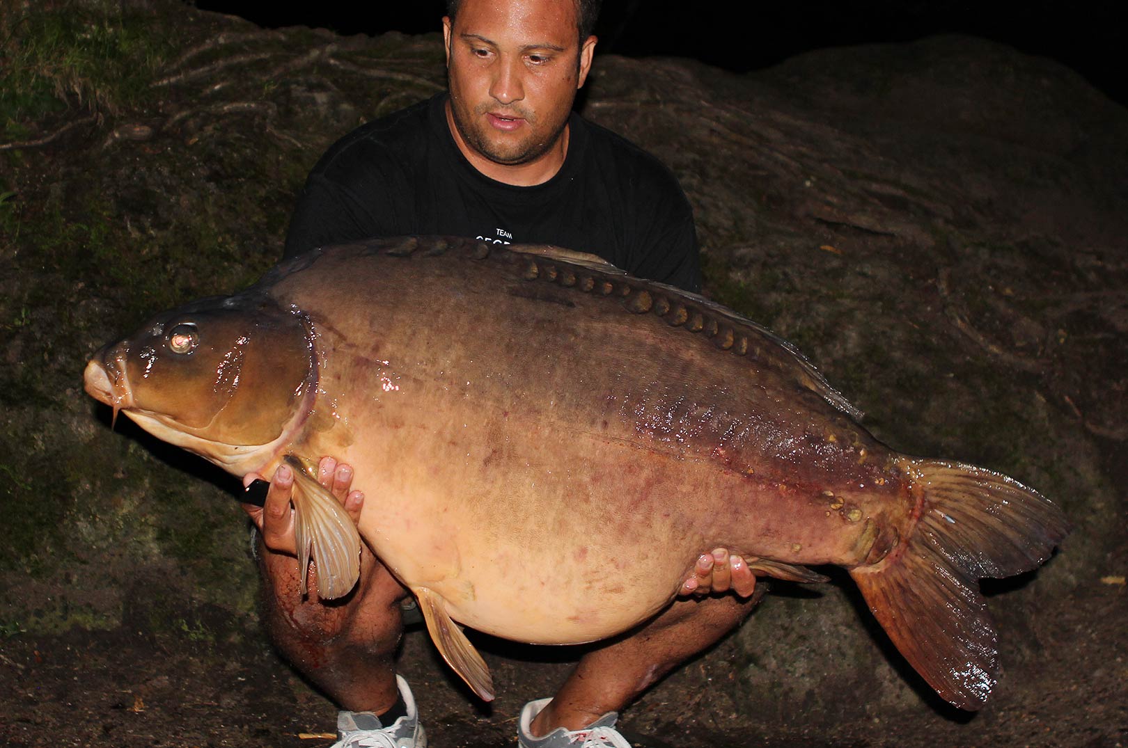 LAKE BLED: HVOR KARPEDRØMMENE BLIVER TIL VIRKELIGHED - Fisk & Fri